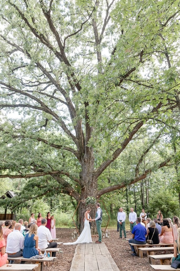 Krista & Jeff | Sydenham Ridge Estate Wedding